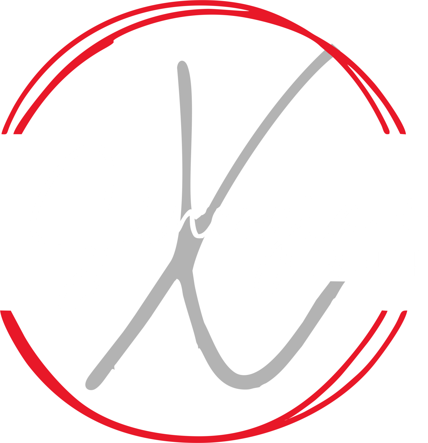 Instituto Sinergia - Instituto Sinergia